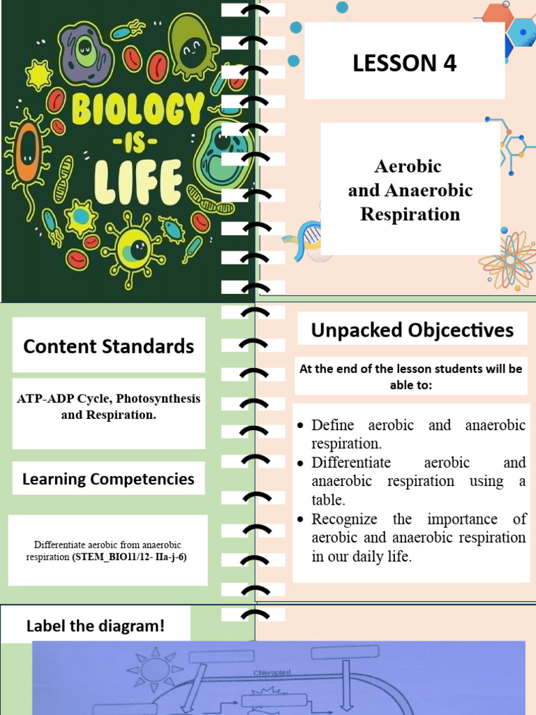 Aerobic vs Anaerobic Respiration Guide | PDF | Cellular Respiration ...