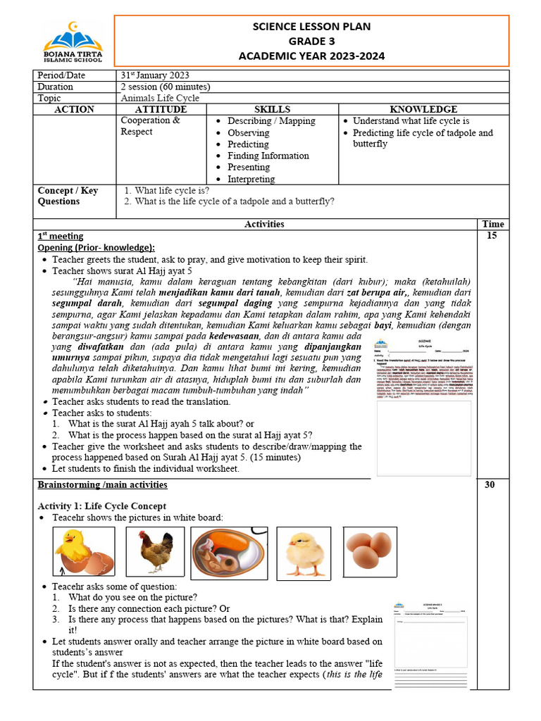 G3 - Science - 8th Meeting (Definition of Life Cycle and Example) | PDF