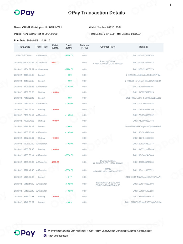 My Bank Statement | PDF | Personal Finance | Jargon