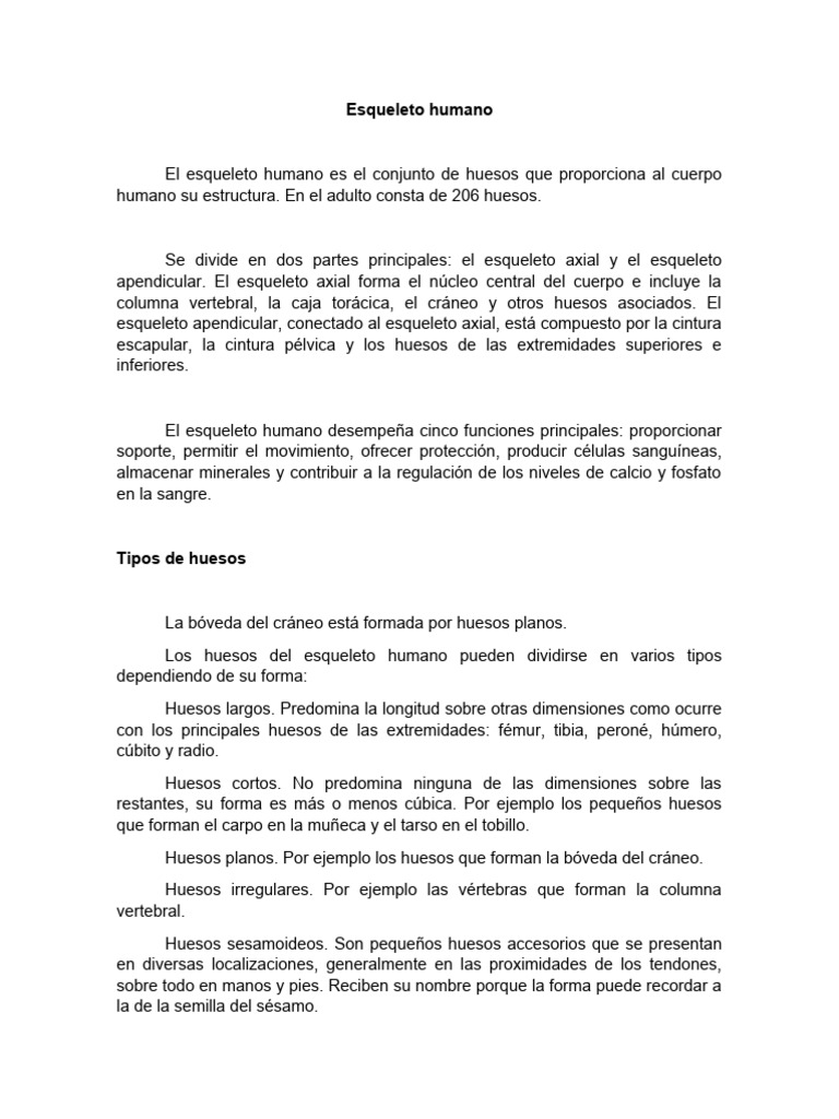 Guía del Esqueleto Humano | PDF | Esqueleto | Hueso