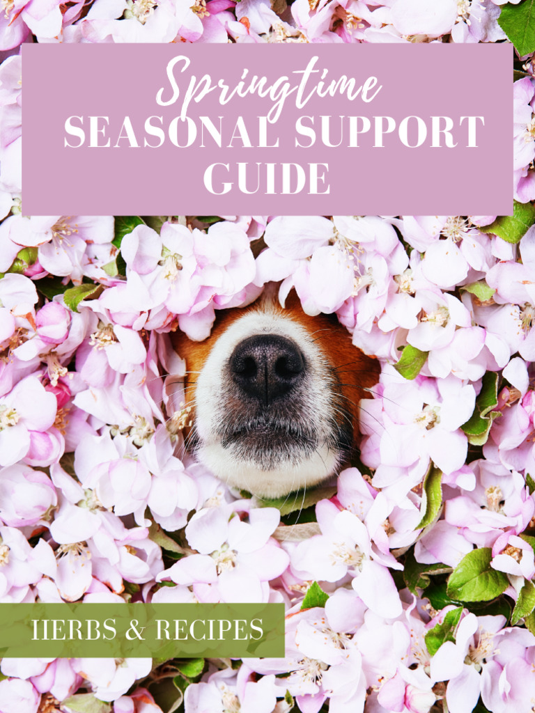 Seasonal Support Guide | PDF | Wellness
