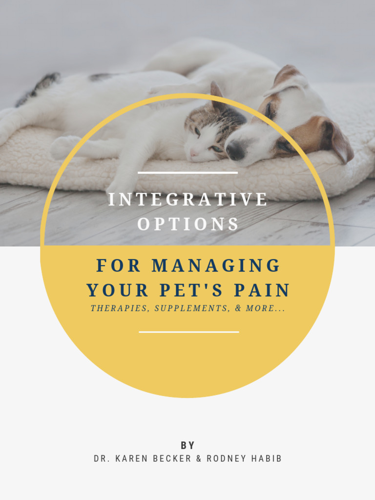 NSAID Ebook Forever Dog Rodney Habib Karen Becker | PDF