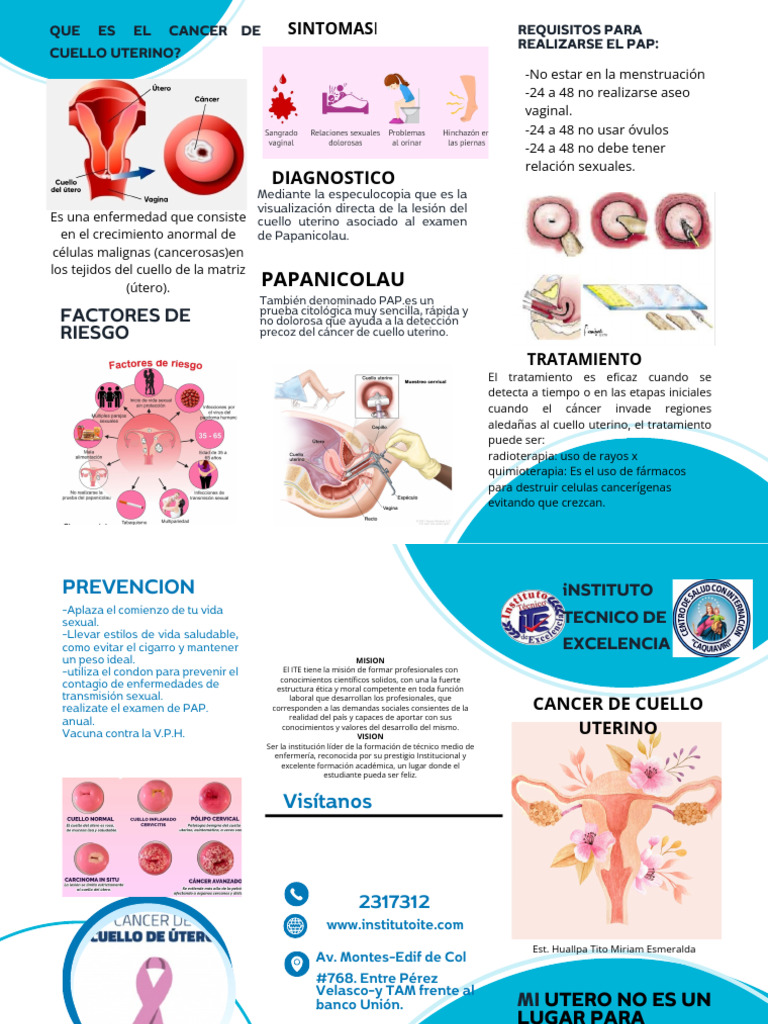Instituto Tecnico de Excelencia (Trípticos) Cacu - PDF - 20240217 - 131717 - 0000 | PDF