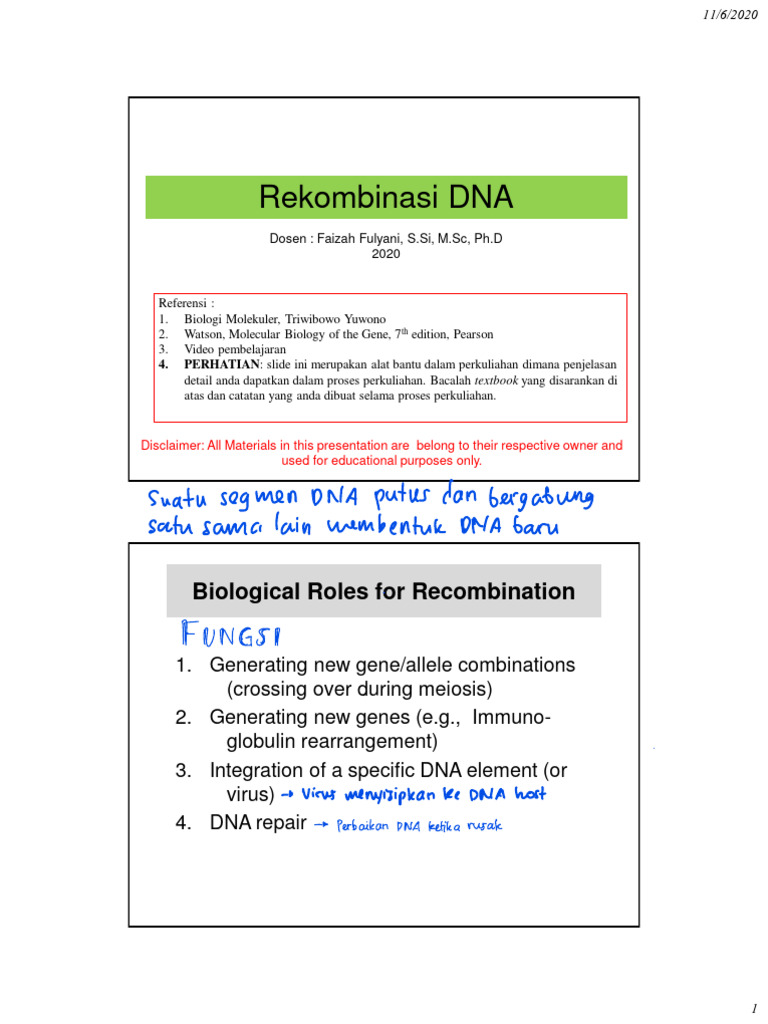 DNA Recombination Overview | PDF | Genetic Recombination | Ploidy