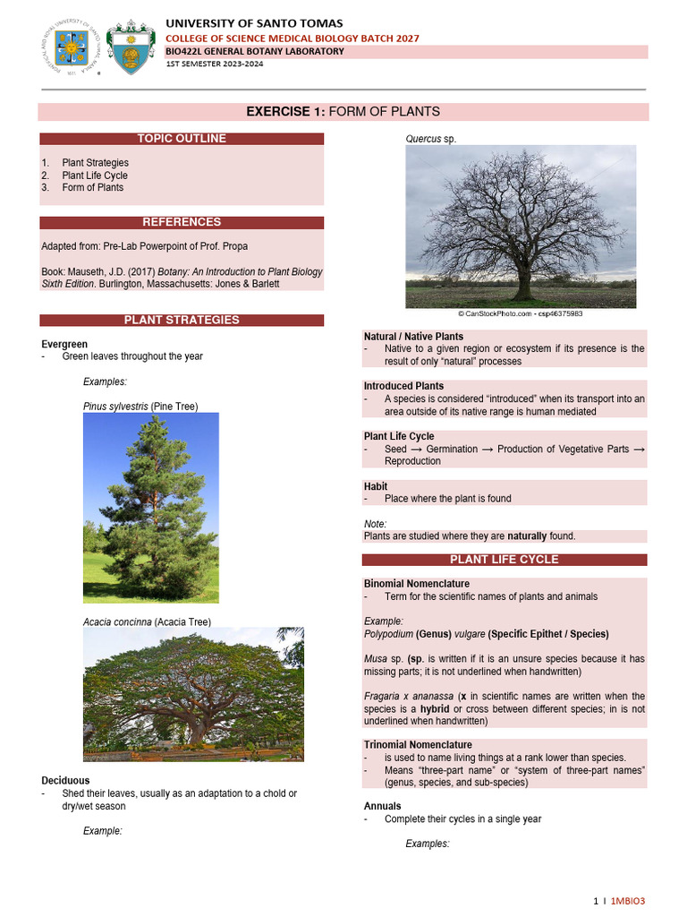 Botany Forms of Plants Transes | PDF