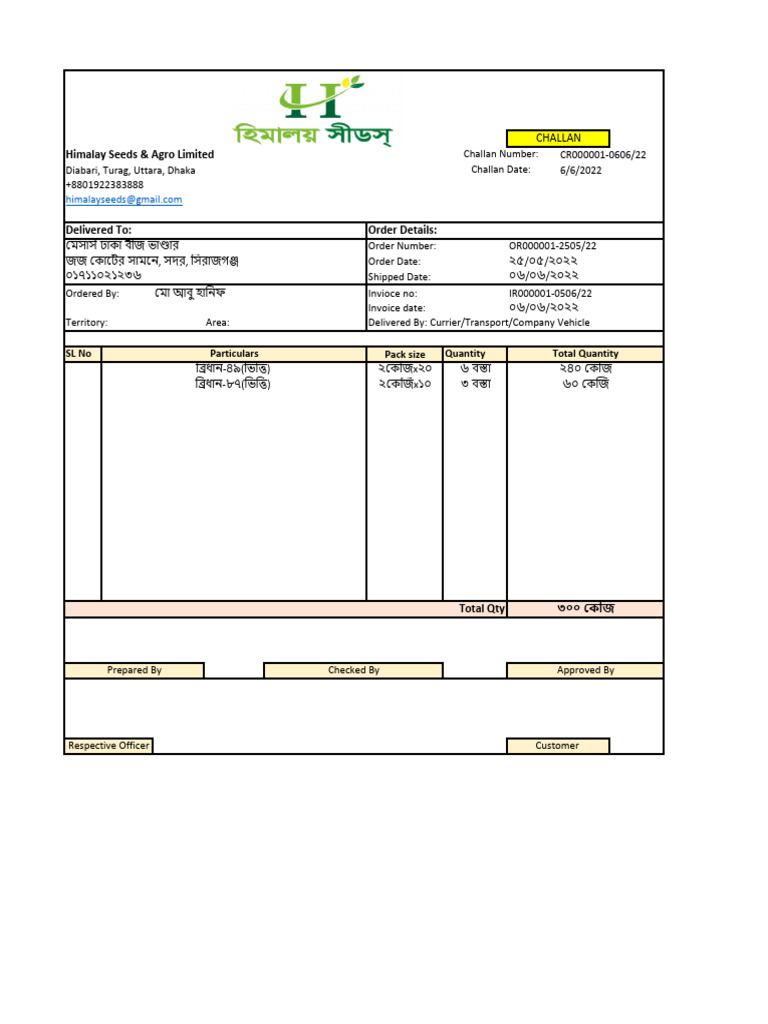 Invoice 01 | PDF