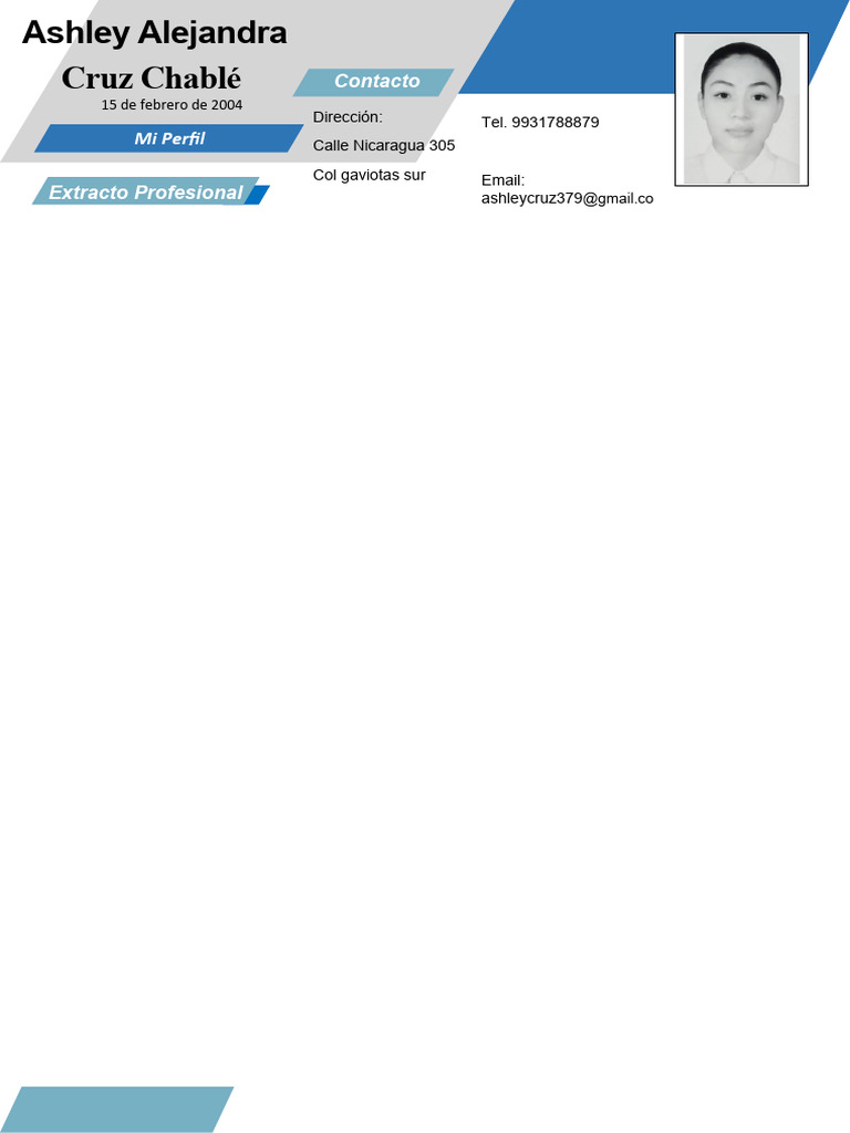 Formato Cv-Para Rellenar | PDF