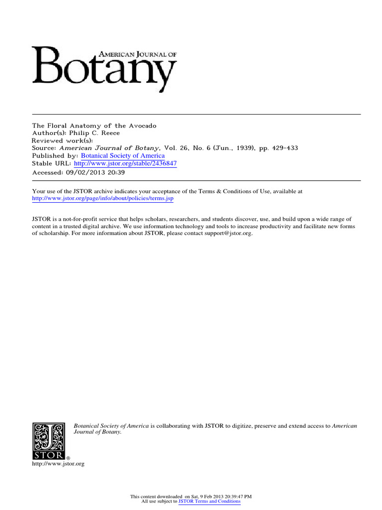 Floral Anatomy of An Avocado | PDF | Branches Of Botany | Botany