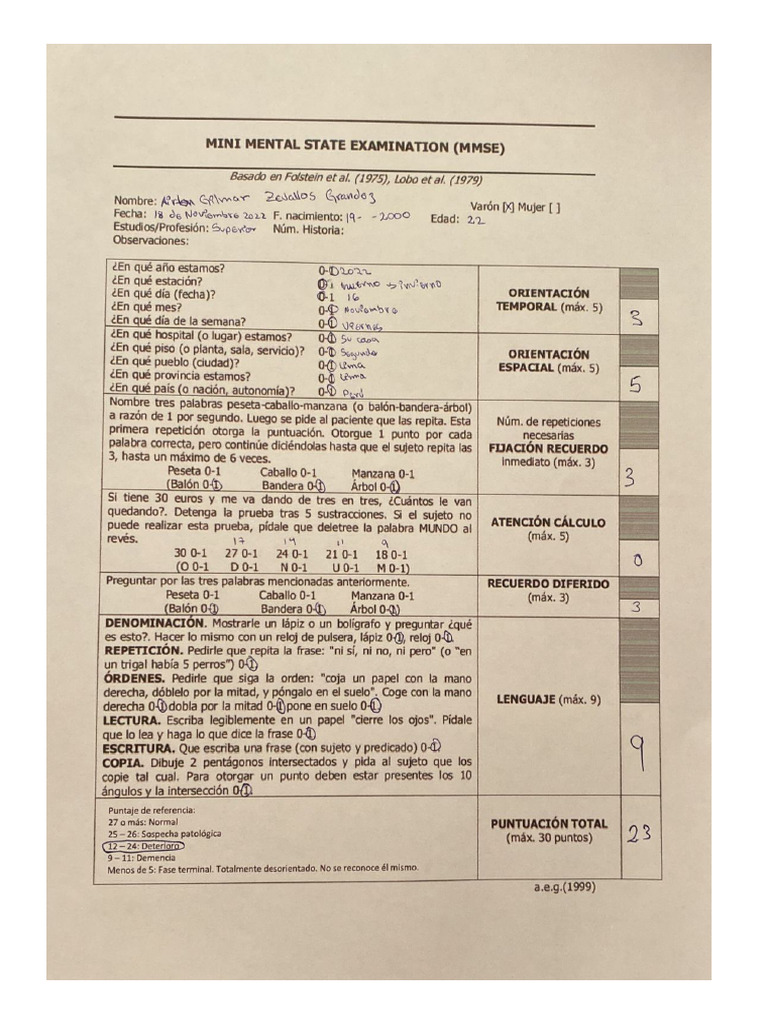Minimental Test GR | PDF
