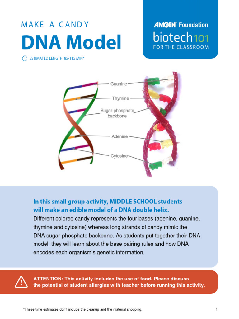 Preteen Activity - Make A Candy DNA Model | PDF | Self-Improvement ...
