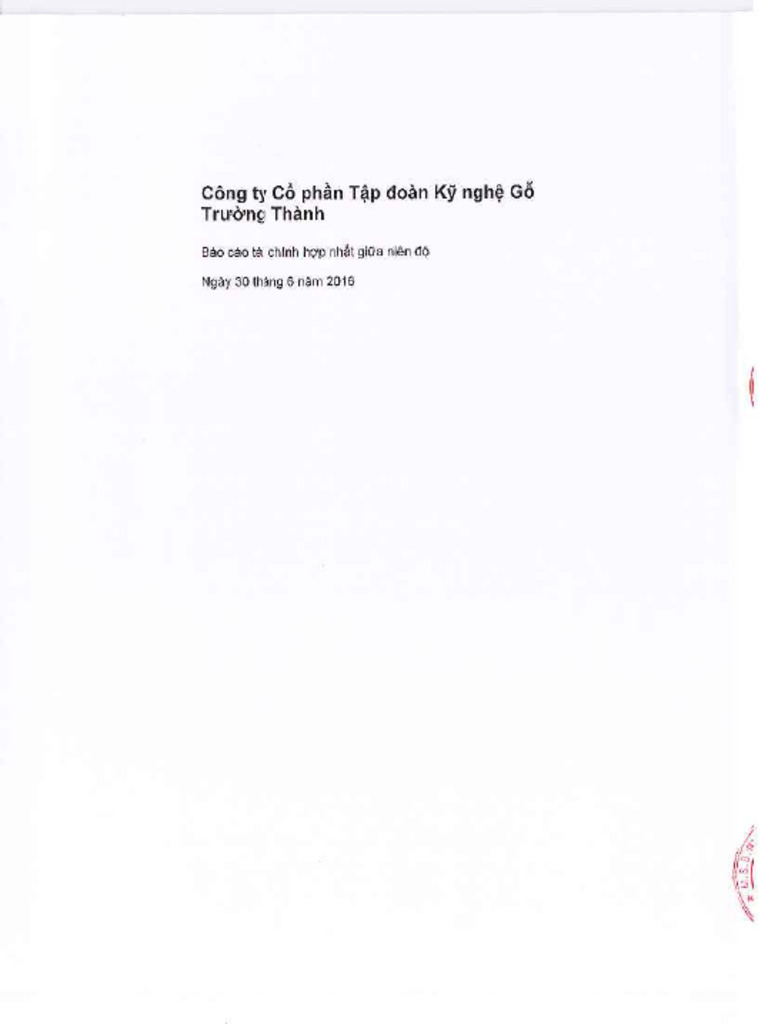 TTF BCTC Hop Nhat 6 Thang Nam 2016 | PDF