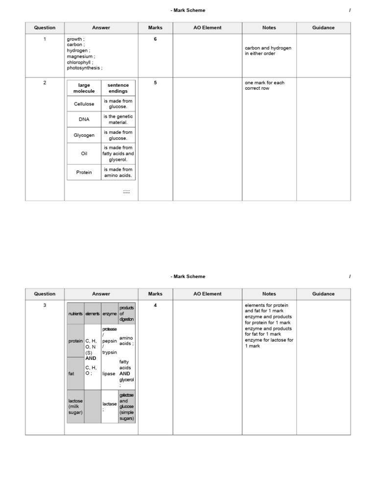 Worksheet Biological Molecules, Enzymes MarkScheme | PDF | Enzyme | Glucose
