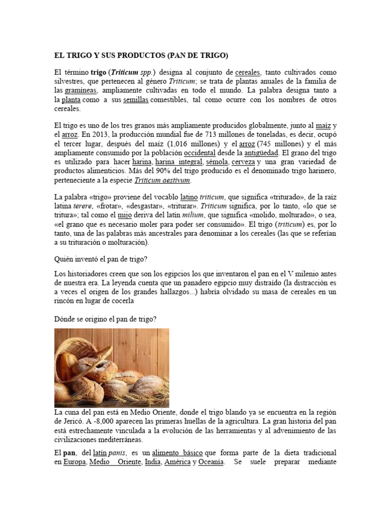 El Trigo y Sus Productos | PDF | Trigo | Panes