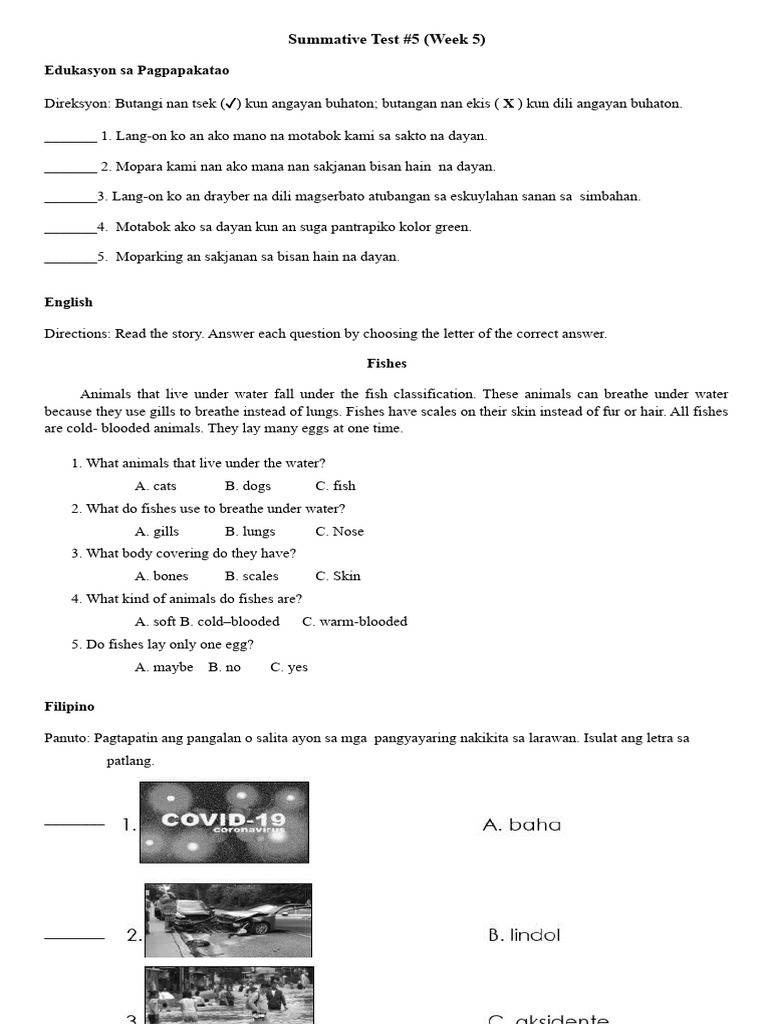 Summative Test Week 5 | PDF