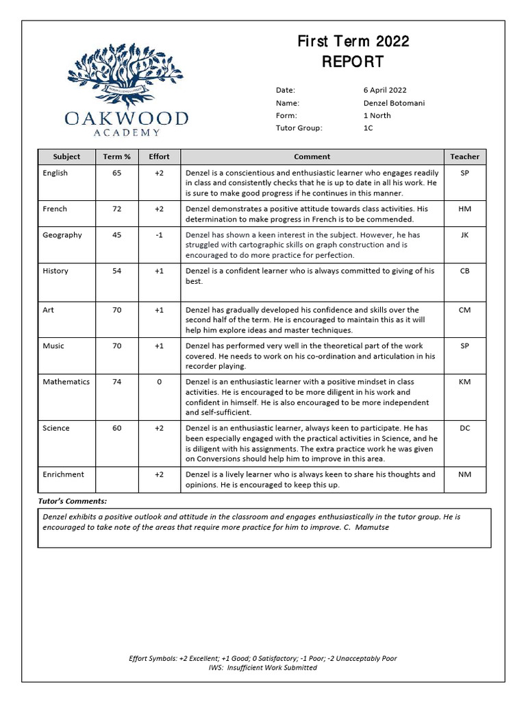 Denzel Botomani | PDF