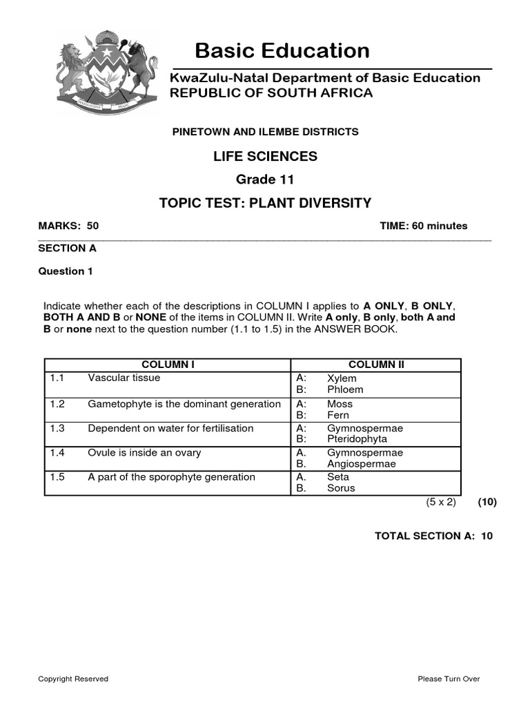 04 Biodiversity in Plants Topic Test | PDF