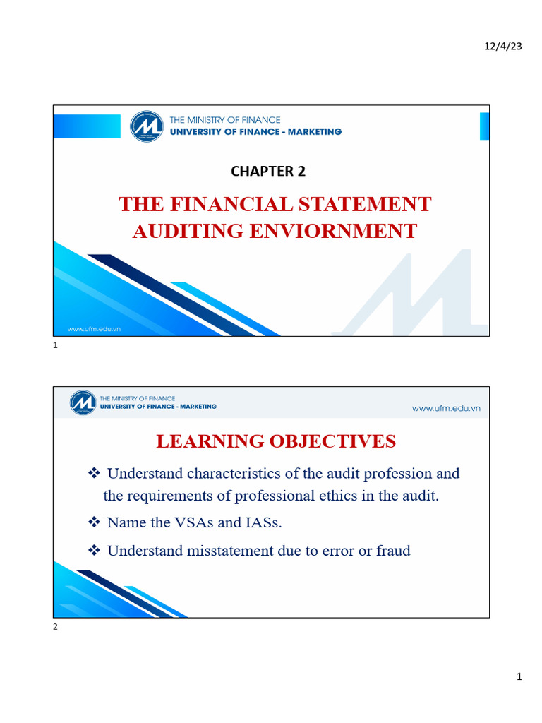 Chapter 2. Auditing Environment | PDF | Audit | Financial Audit