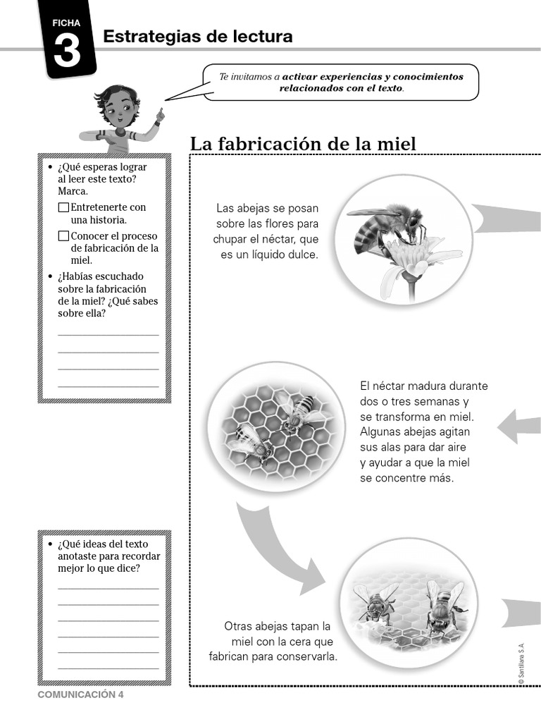 Infografia de La Abeja | PDF | Miel | Apicultura