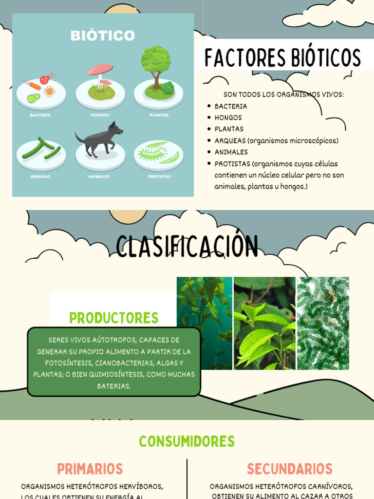 Factores Bióticos | PDF | Organismos | Plantas