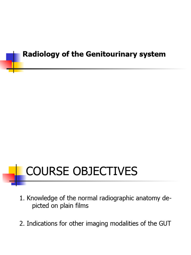 Genitourinary Radiology Course Guide | PDF | Kidney | Medical Specialties
