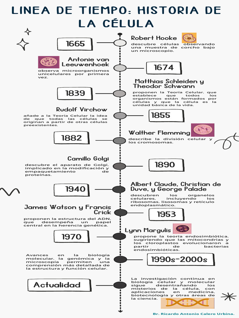 Linea de Tiempo, Historia de La Célula. | Descargar gratis PDF ...