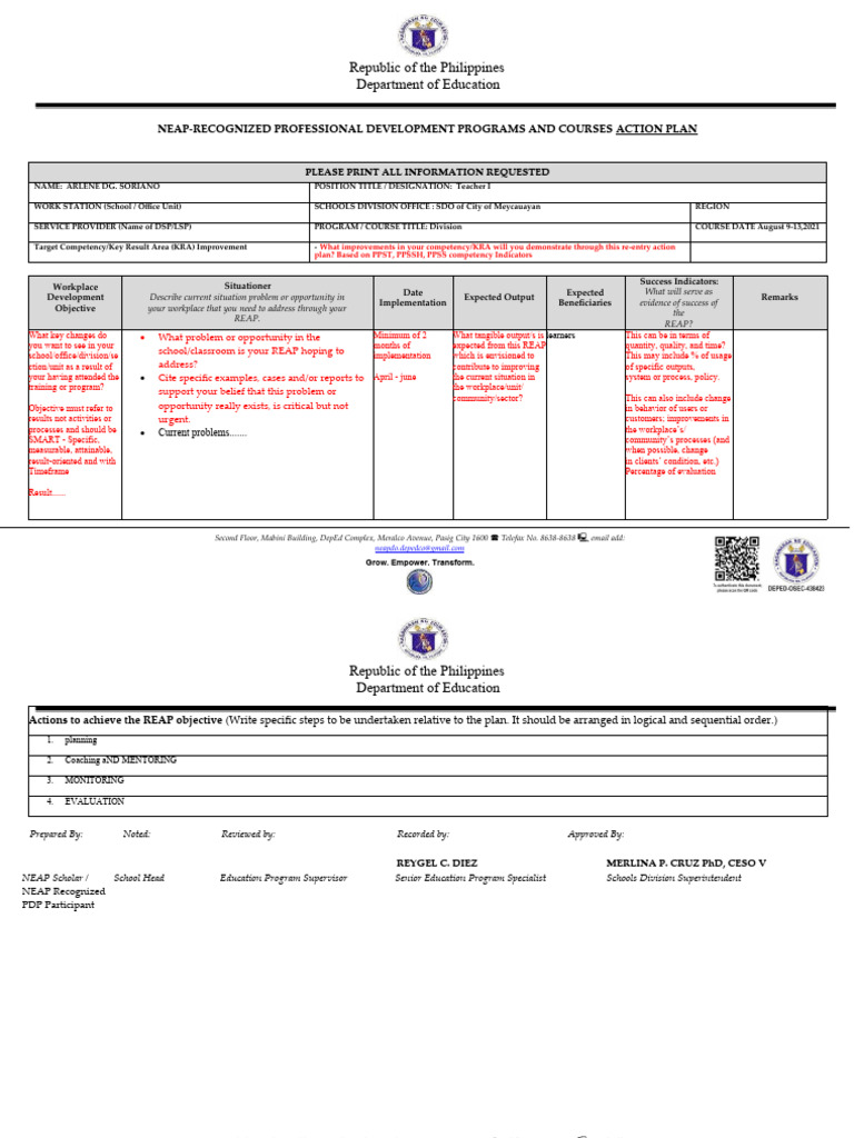 (Scholars Re-Entry Action Plan) REAP | PDF