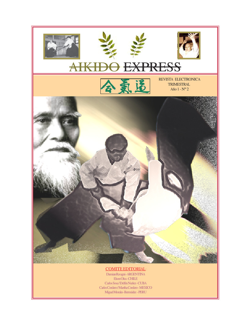 Aikido Express 2 | PDF
