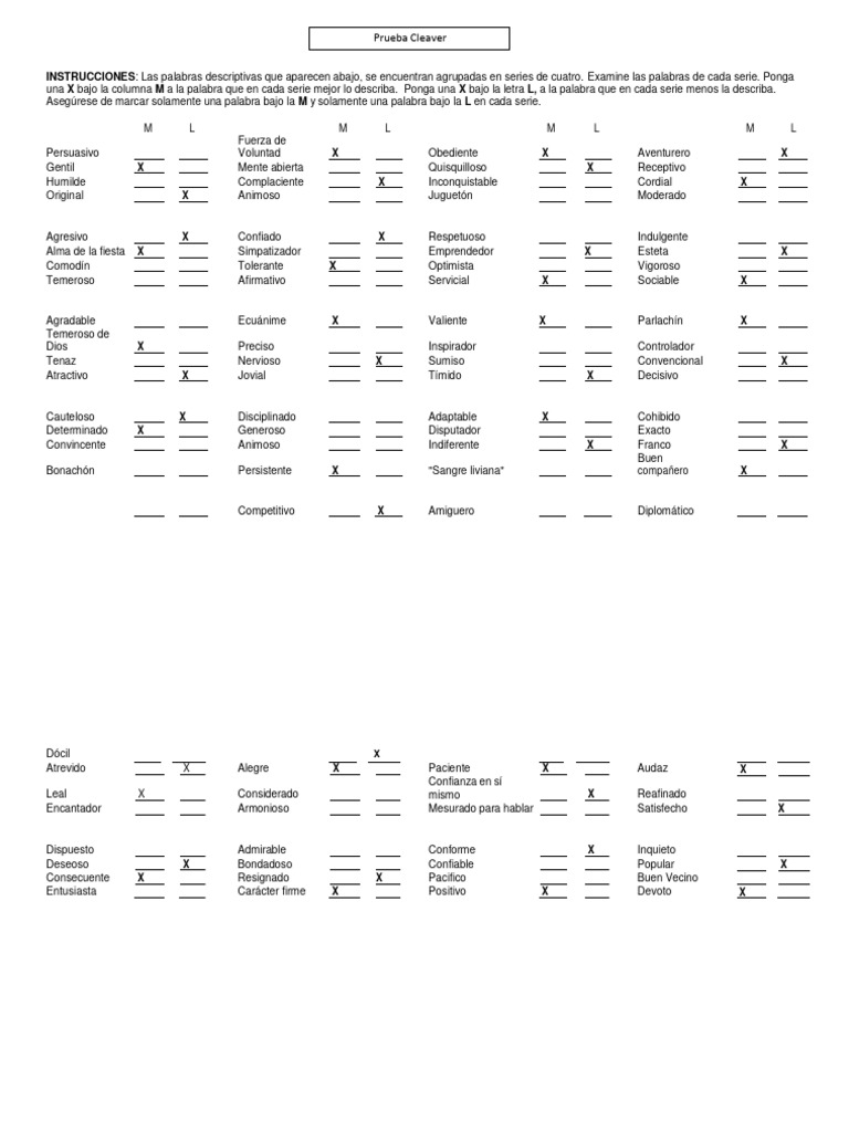 Prueba Cleaver | PDF
