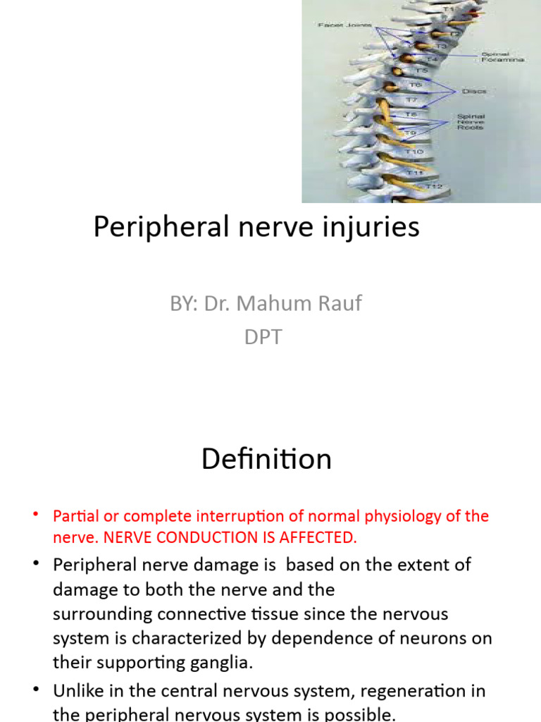 Peripheral Nerve Injuries | PDF