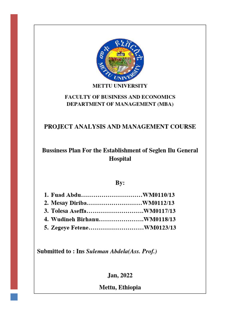 Business Plan for Seglen Ilu Hospital | PDF | Health Care | Hospital
