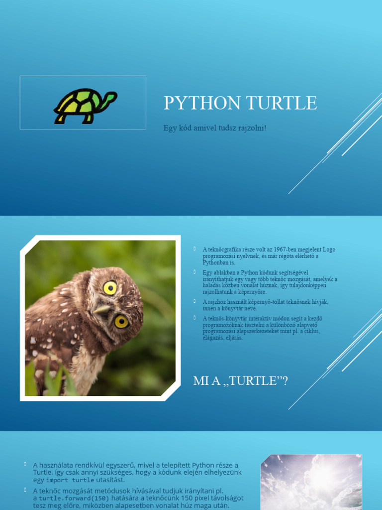 Python Turtle | PDF