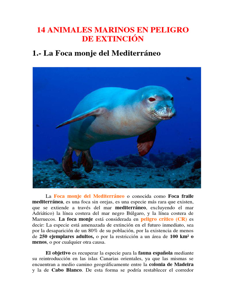 14 Animales Marinos en Peligro de Extincion | PDF | Arrecife de coral ...