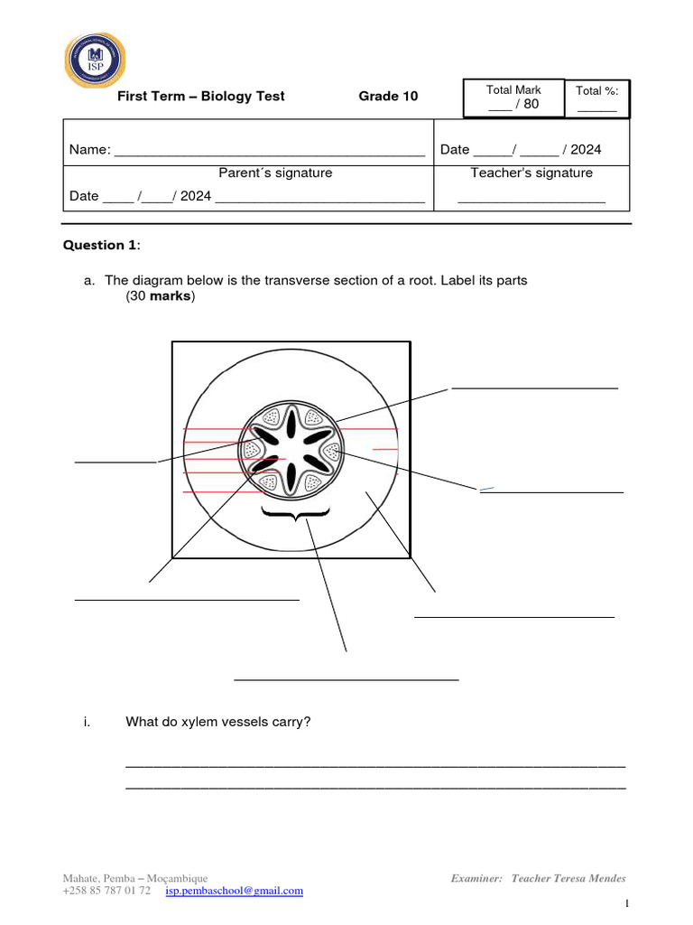 Biology Grade 10 1st Term Exam | PDF