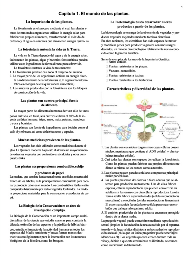 PDF Resumen Botanica Cap 1 y 2 - Compress | PDF