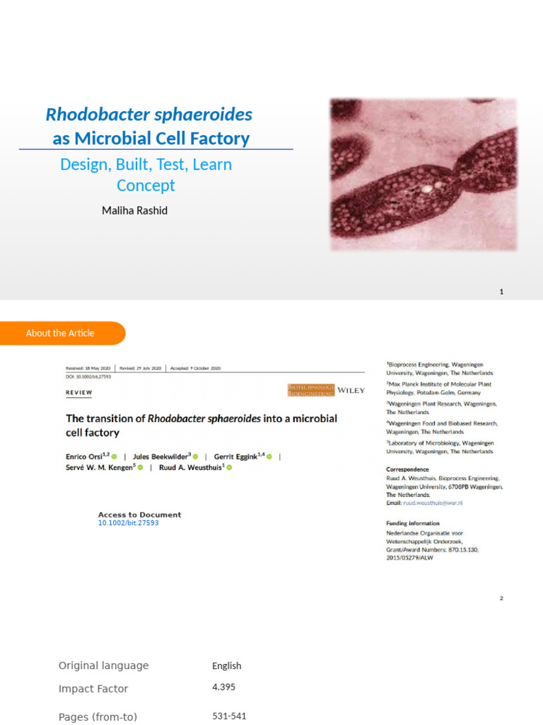 Rhodobacter Maliha Rashid | PDF | Biology | Biotechnology