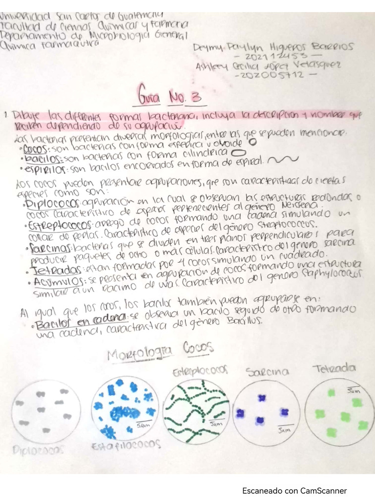 Guia 3 Teoria Micro | PDF