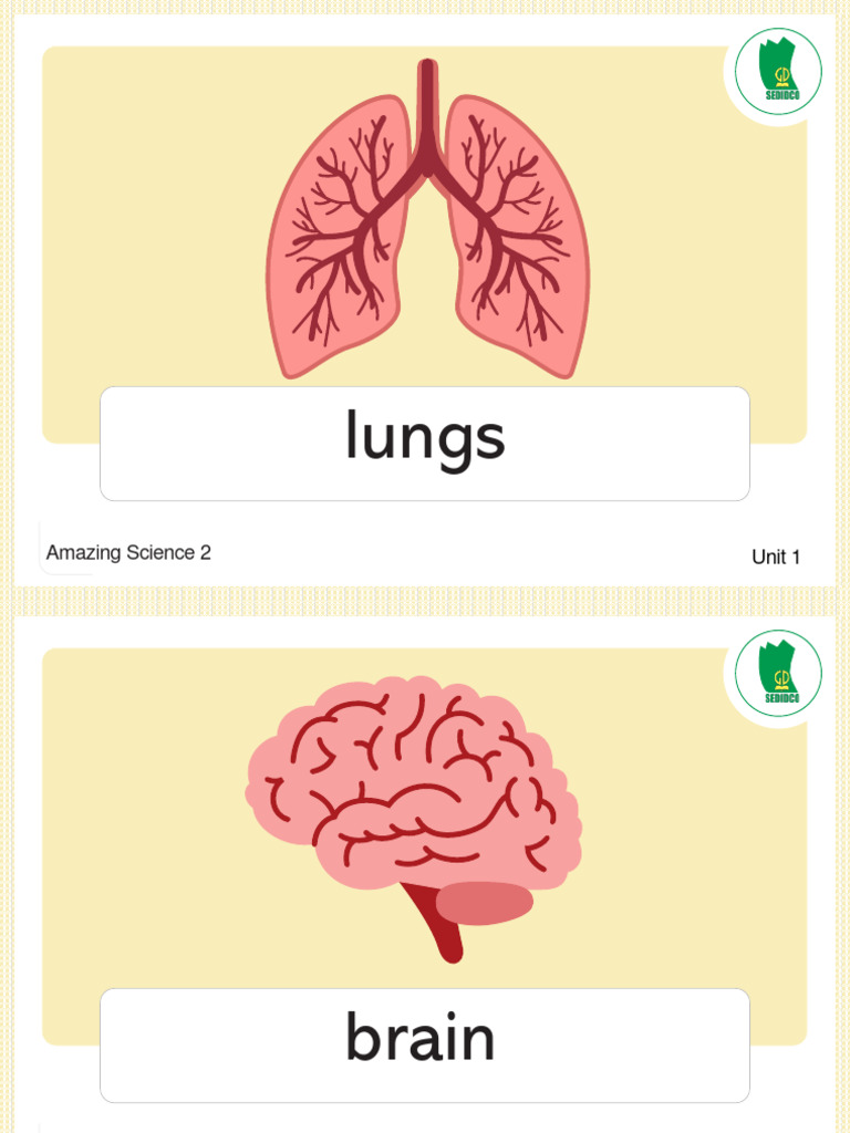 Science for Young Learners | PDF