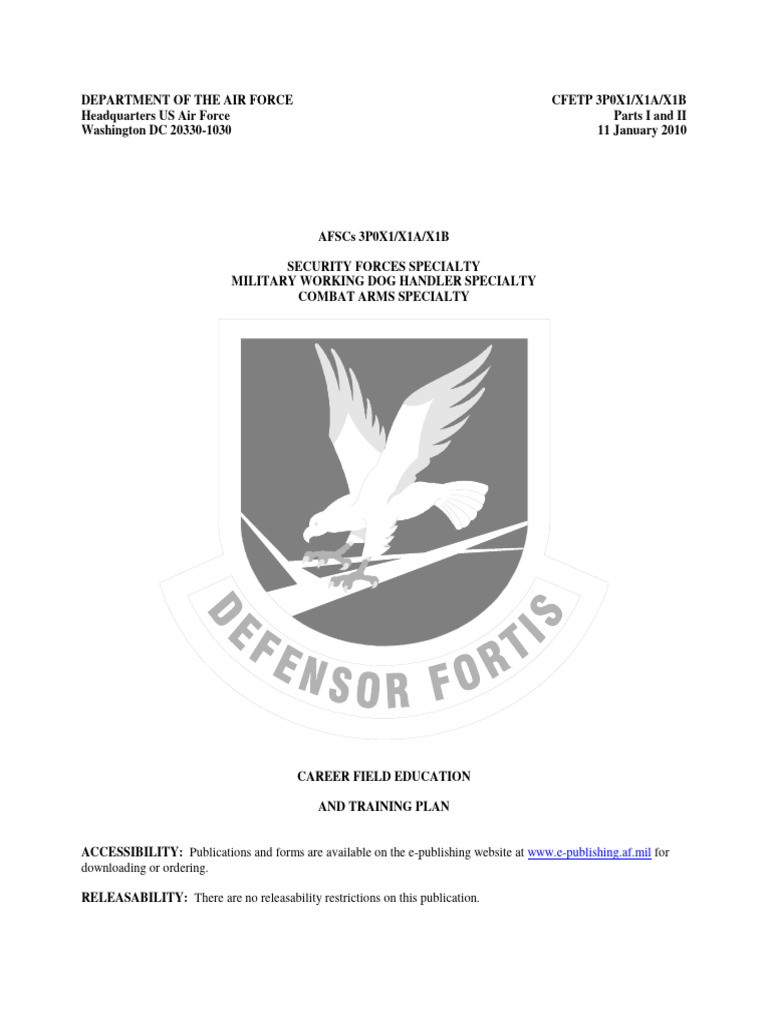 Air Force Security Forces CFETP Guide | PDF