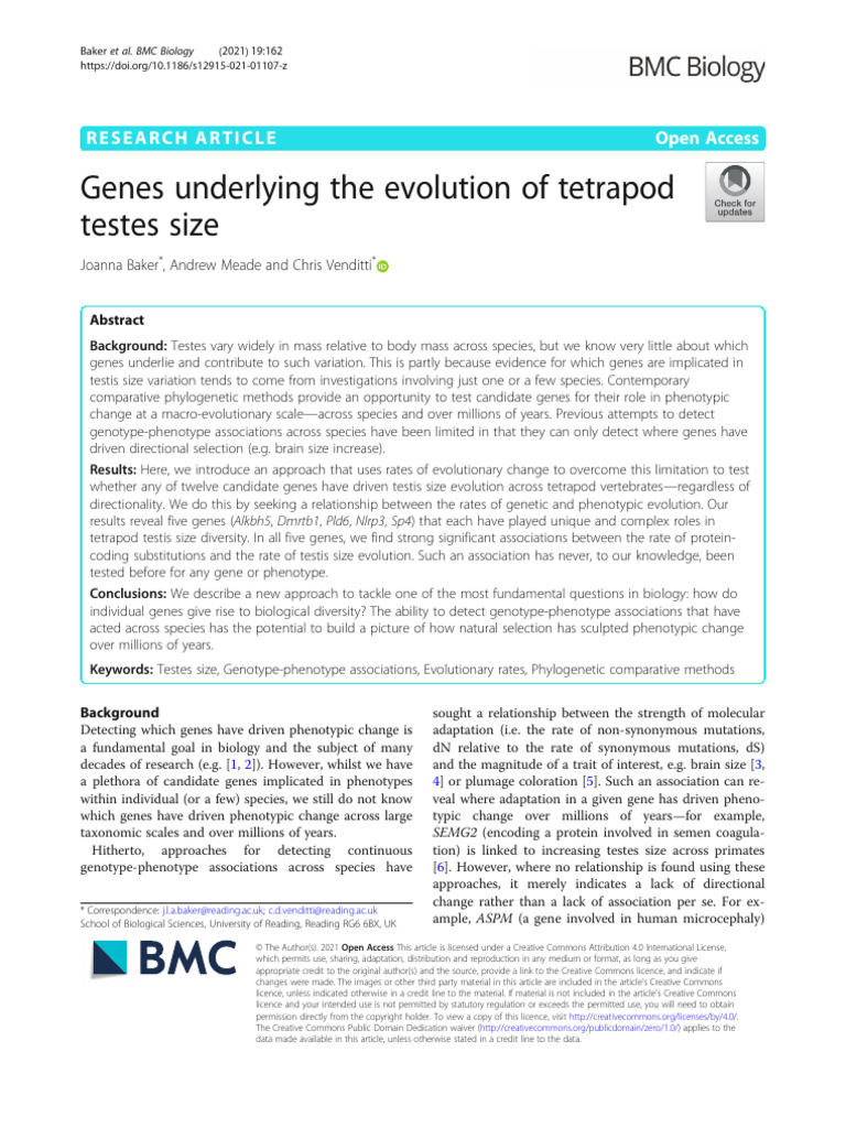 Evolution of Testes Size | PDF
