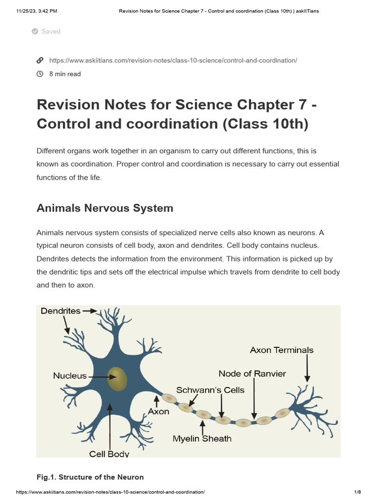 Revision Notes For Science Chapter 7 - Control and Coordination (Class ...