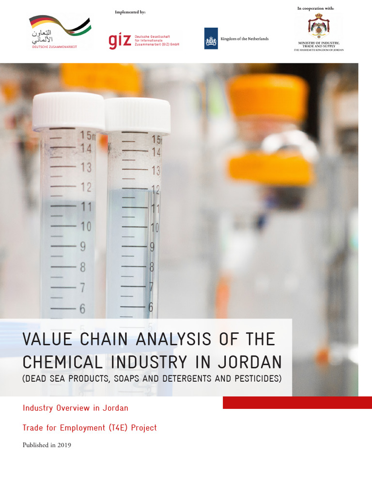 Value Chain Analysis of The Chemicals Industry in Jordan | PDF
