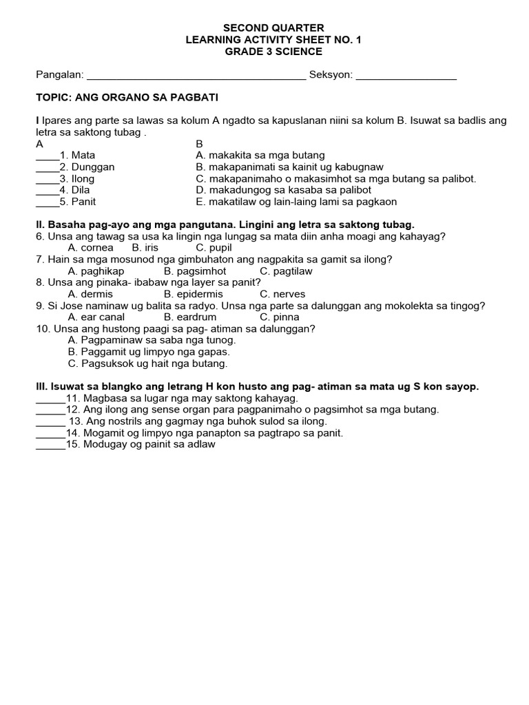 Activity Sheet | PDF