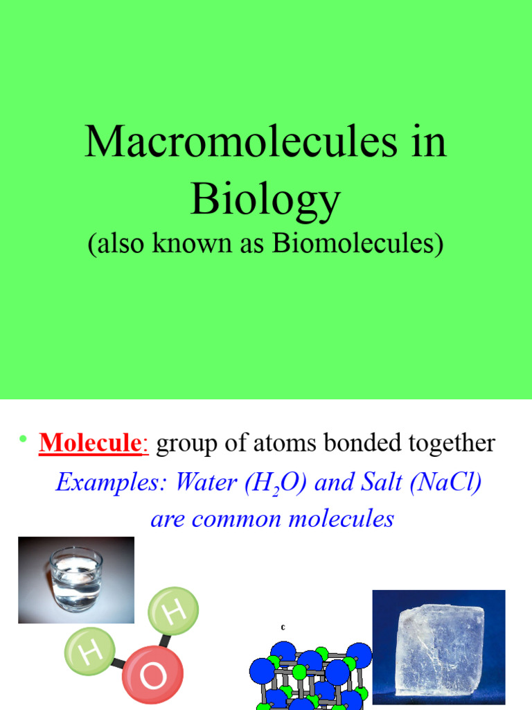 Biological Molecules | PDF