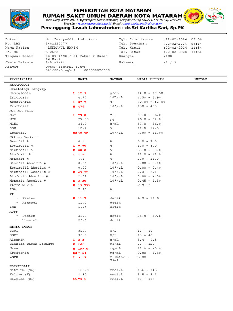 Pemeriksaan Hasil Satuan Nilai Rujukan Metode Hematologi Hematologi Lengkap | PDF