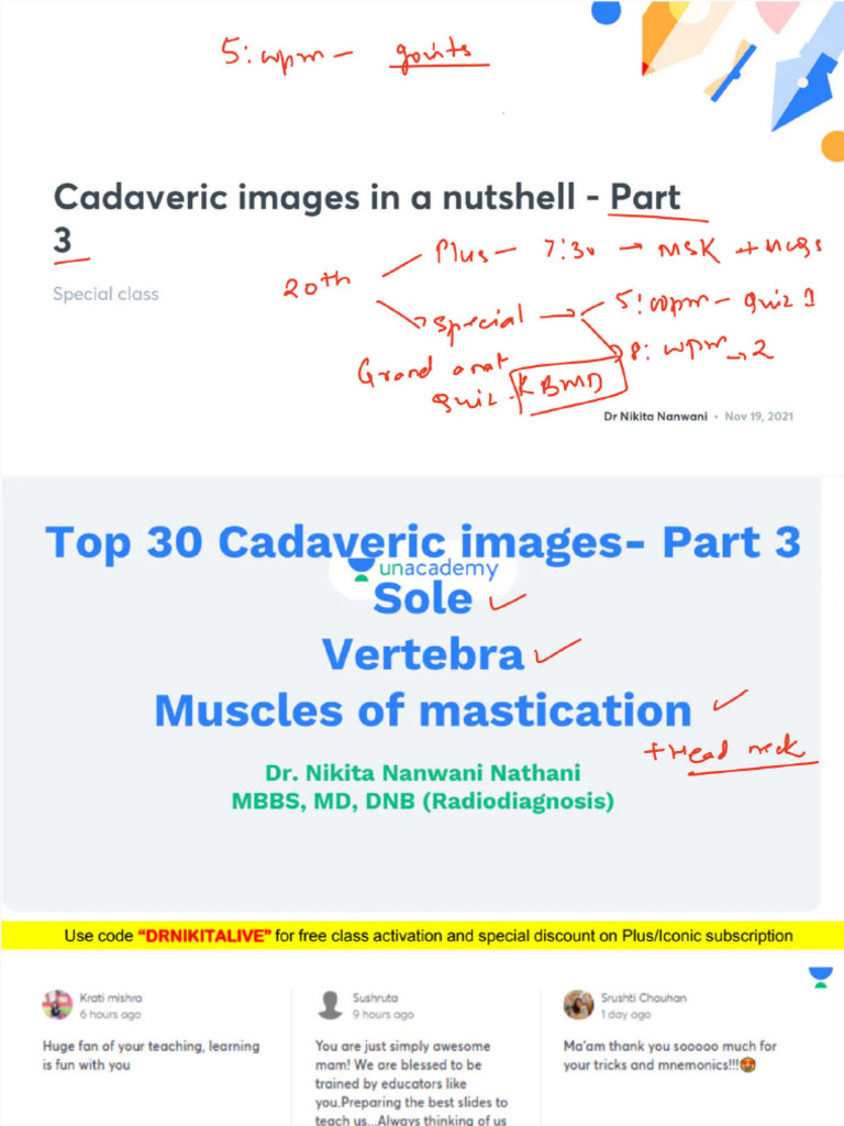 Cadaveric Images in A Nutshell Part 3 With Anno | PDF
