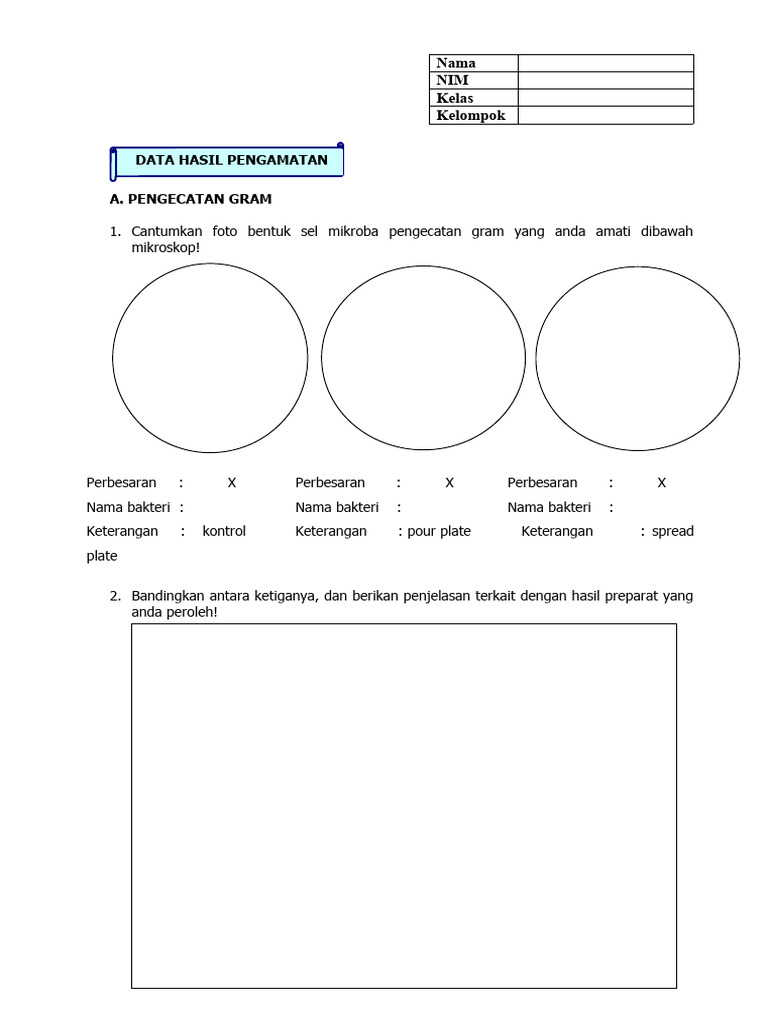 A Khamir, Katalase, Gram | PDF