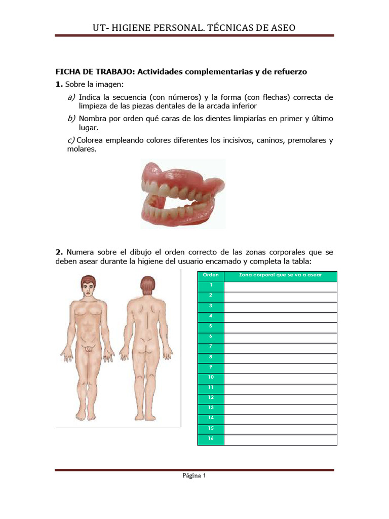 Ficha de Trabajo HIGIENE PERSONAL Y ASEO | PDF | Higiene