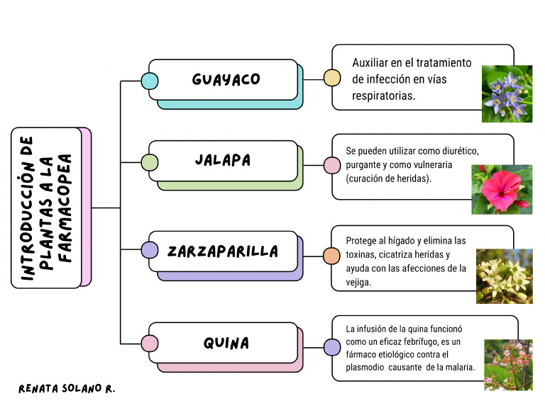 Tema 1, Mapa 4 | PDF
