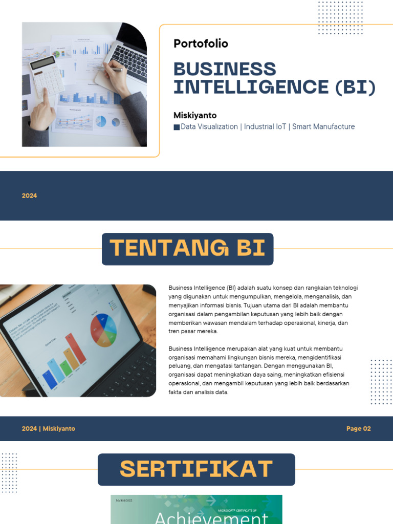 Portofolio Power BI | PDF