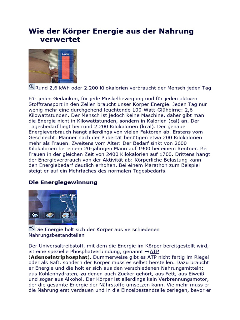 Wie Der Körper Energie Aus Der Nahrung Verwertet | PDF